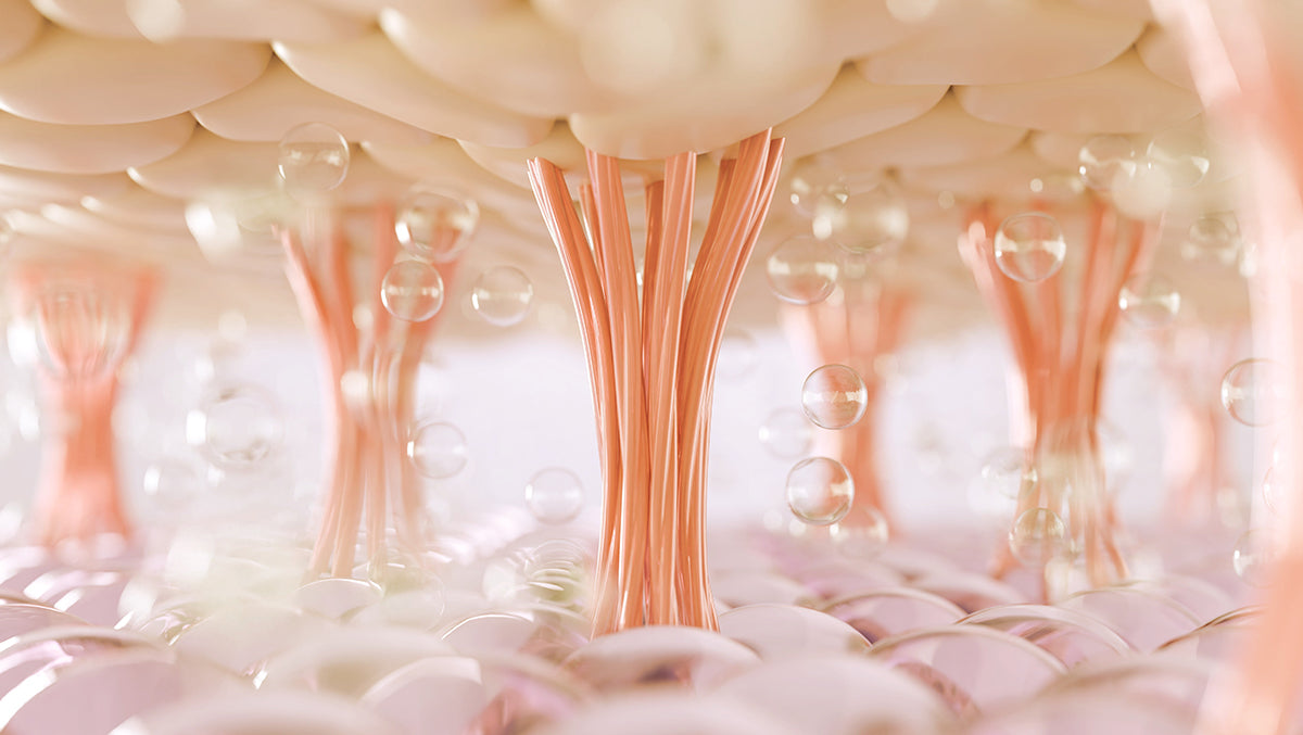 HOW TO RESTORE COLLAGEN LEVELS IN THE BODY? – Col Du Marine™